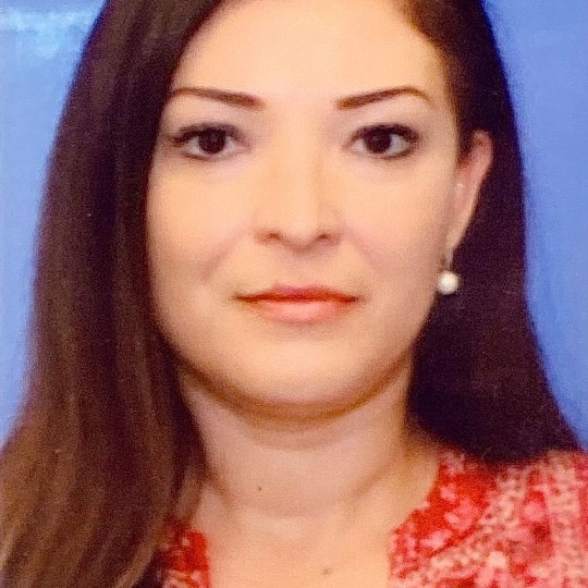 Karla E. Valdez – iSTRIVE Research Lab